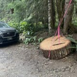 White Pass Pilot Ridge Loop Trail, Washington - 119 Reviews, Map ...