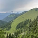 White Pass Pilot Ridge Loop Trail, Washington - 119 Reviews, Map ...