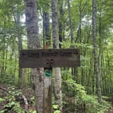 Long Branch Loop Trail, Georgia - 2,375 Reviews, Map | AllTrails