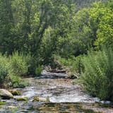 Jones Hole Trail, Utah - 278 Reviews, Map | AllTrails