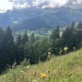 Pfingstegg - Bäregg Hut, Bern, Switzerland - 206 Reviews, Map | AllTrails