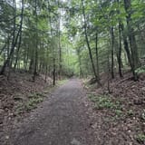 Green Ridge Trail, Texas - 1,017 Reviews, Map | AllTrails