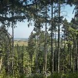 Triple Tree Trail, Montana - 1,406 Reviews, Map | AllTrails