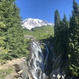 Myrtle Falls Viewpoint via Skyline Trail, Washington - 4,496 Reviews ...