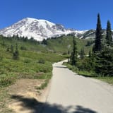 Myrtle Falls Viewpoint via Skyline Trail, Washington - 4,496 Reviews ...