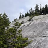 Wheeler Mountain Trail, Vermont - 408 Reviews, Map | AllTrails
