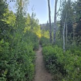 Desolation Lake via Mill D North Fork and Desolation Trail, Utah ...