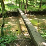 Winding Stairs Loop, Tennessee - 795 Reviews, Map | AllTrails