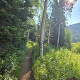 Desolation Lake via Mill D North Fork and Desolation Trail, Utah ...