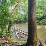 Metea Park North Loop, Indiana - 712 Reviews, Map | AllTrails