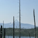 Three Fingered Jack Loop, Oregon - 300 Reviews, Map | AllTrails