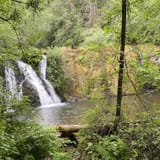Beaver Falls, Washington - 283 Reviews, Map | AllTrails