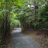 Limberlost Trail, Virginia - 974 Reviews, Map | AllTrails