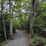 Limberlost Trail, Virginia - 974 Reviews, Map | AllTrails