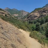 Adams Canyon Trail, Utah - 7,734 Reviews, Map | AllTrails