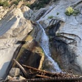 Lisa Falls Trail, Utah - 1,524 Reviews, Map | AllTrails