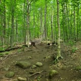 Mount Arab Trail, New York - 2,464 Reviews, Map | AllTrails