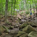Mount Arab Trail, New York - 2,464 Reviews, Map | AllTrails