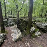 Hickory Ridge Outer Trail, Tennessee - 355 Reviews, Map | AllTrails