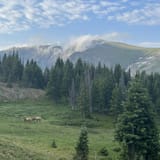 Mount Chapin, Chiquita, and Ypsilon Mountain via Chapin Pass Trail ...