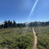 Copper Ridge Trail To Copper Lake, Washington - 89 Reviews, Map | AllTrails