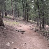 Independence Mountain Trail, Colorado - 5,466 Reviews, Map | AllTrails