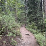 Independence Mountain Trail, Colorado - 5,466 Reviews, Map | AllTrails