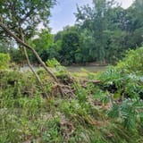 David J Culham Trail, Ontario, Canada - 1,303 Reviews, Map | AllTrails