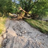 David J Culham Trail, Ontario, Canada - 1,303 Reviews, Map | AllTrails