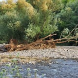 David J Culham Trail, Ontario, Canada - 1,303 Reviews, Map | AllTrails