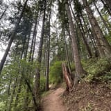 Pinnacle Peak Loop, Washington - 3,637 Reviews, Map | AllTrails