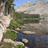 Mitchell Lake Trail, Colorado - 629 Reviews, Map | AllTrails