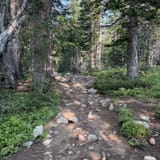Mitchell Lake Trail, Colorado - 629 Reviews, Map | AllTrails