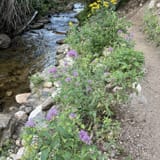 North Fork Big Thompson River Trail Via Dunraven Trailhead, Colorado ...