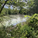 Blue Job Mountain Loop, New Hampshire - 2,330 Reviews, Map | AllTrails