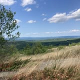 Blue Job Mountain Loop, New Hampshire - 2,330 Reviews, Map | AllTrails
