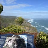 Mercer Bay Loop Track, Auckland, New Zealand - 752 Reviews, Map | AllTrails