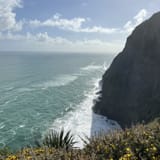 Mercer Bay Loop Track, Auckland, New Zealand - 752 Reviews, Map | AllTrails