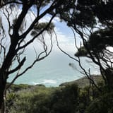 Mercer Bay Loop Track, Auckland, New Zealand - 752 Reviews, Map | AllTrails