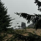 Blacklock Point Trail, Oregon - 411 Reviews, Map | AllTrails