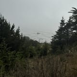 Blacklock Point Trail, Oregon - 399 Reviews, Map | AllTrails