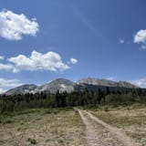 Thomas Lakes Trail, Colorado - 1,573 Reviews, Map | AllTrails