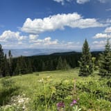 Thomas Lakes Trail, Colorado - 1,592 Reviews, Map | AllTrails