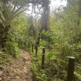 Mount Ishikawa: C Course Loop, Okinawa, Japan - 68 Reviews, Map | AllTrails