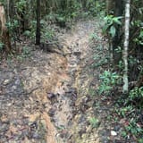 Mount Ishikawa: C Course Loop, Okinawa, Japan - 68 Reviews, Map | AllTrails