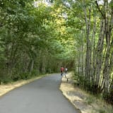Chehalis Western Trail, Washington - 546 Reviews, Map | AllTrails