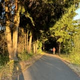 Chehalis Western Trail, Washington - 546 Reviews, Map | AllTrails