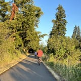 Chehalis Western Trail, Washington - 546 Reviews, Map | AllTrails