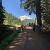 Box Canyon Trail, Washington - 254 Reviews, Map | AllTrails