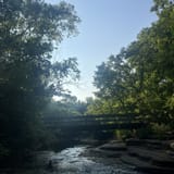 Tanyard Perimeter Loop, Arkansas - 3,109 Reviews, Map | AllTrails